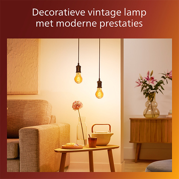 Philips LED lamp E27 | Peer A60 | Filament | Goud | 2200K | Dimbaar 7.3W (60W) Philips 123led.nl